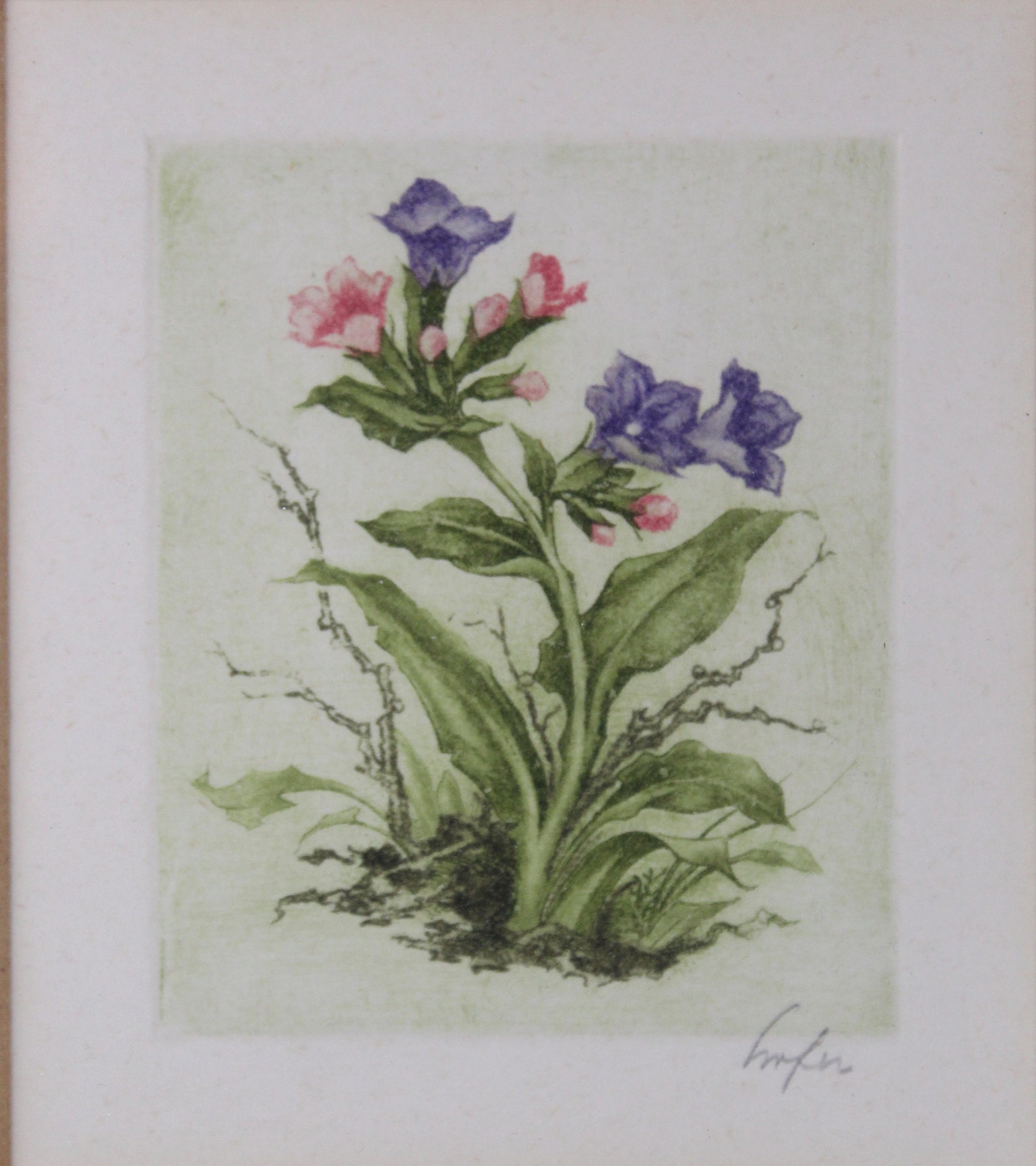 Beautiful Hand Colored Etching of Flowers - Etsy