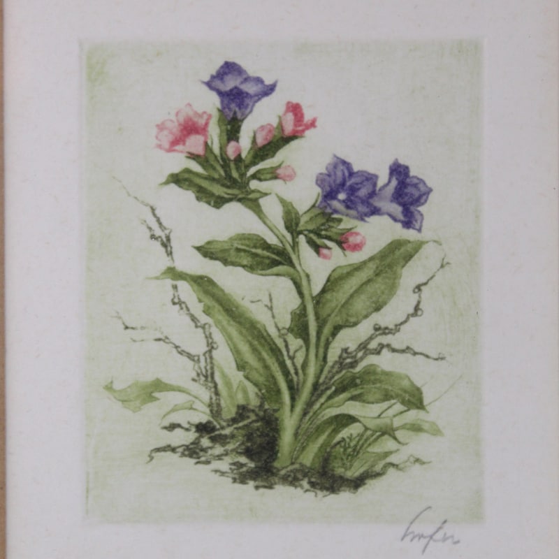 Hand Colored Etching - Etsy