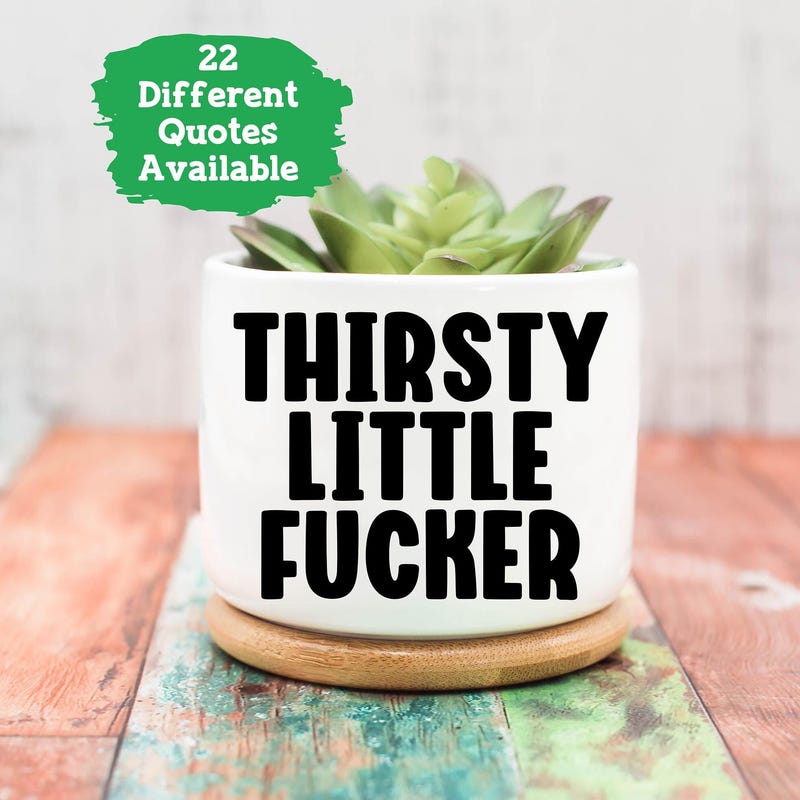 Funny Flower Pots - Etsy