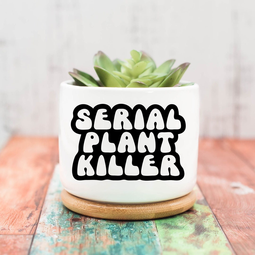 Serial Plant Killer Planter, Funny Planter Gift, College Dorm Decor ...