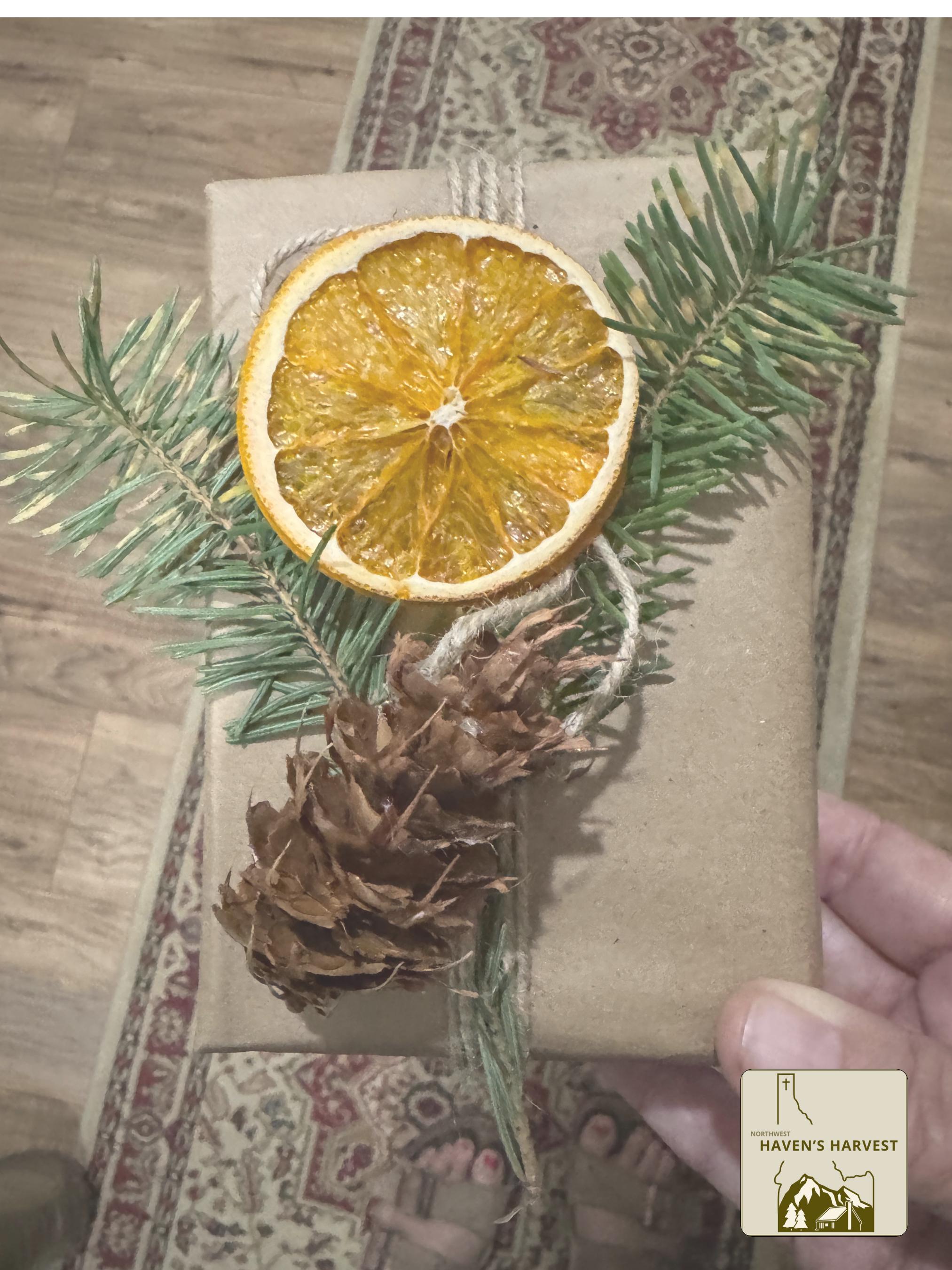 Organic Dried Grapefruit Slices (20 Count) – Fall Decor, Cocktail ...