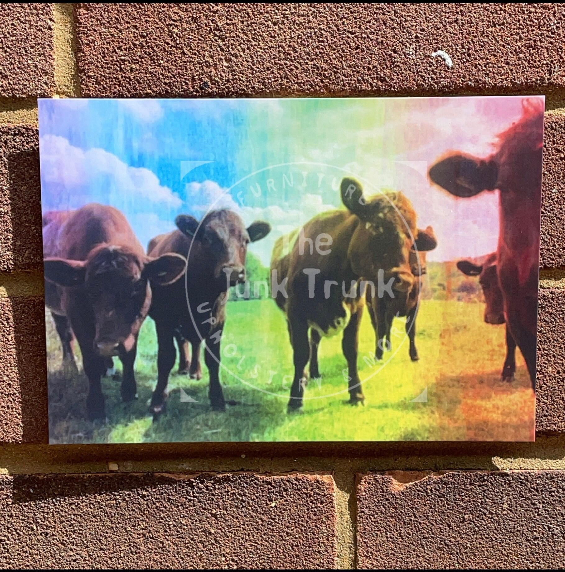 Rainbow cow print photograph gallery wall art A5 - Etsy.de