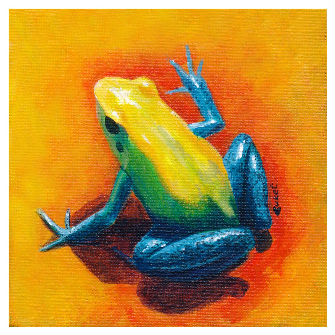 Frog Art Print-golden-poison Dart Frog Art- 4"x4" GICLEE Print-square ...