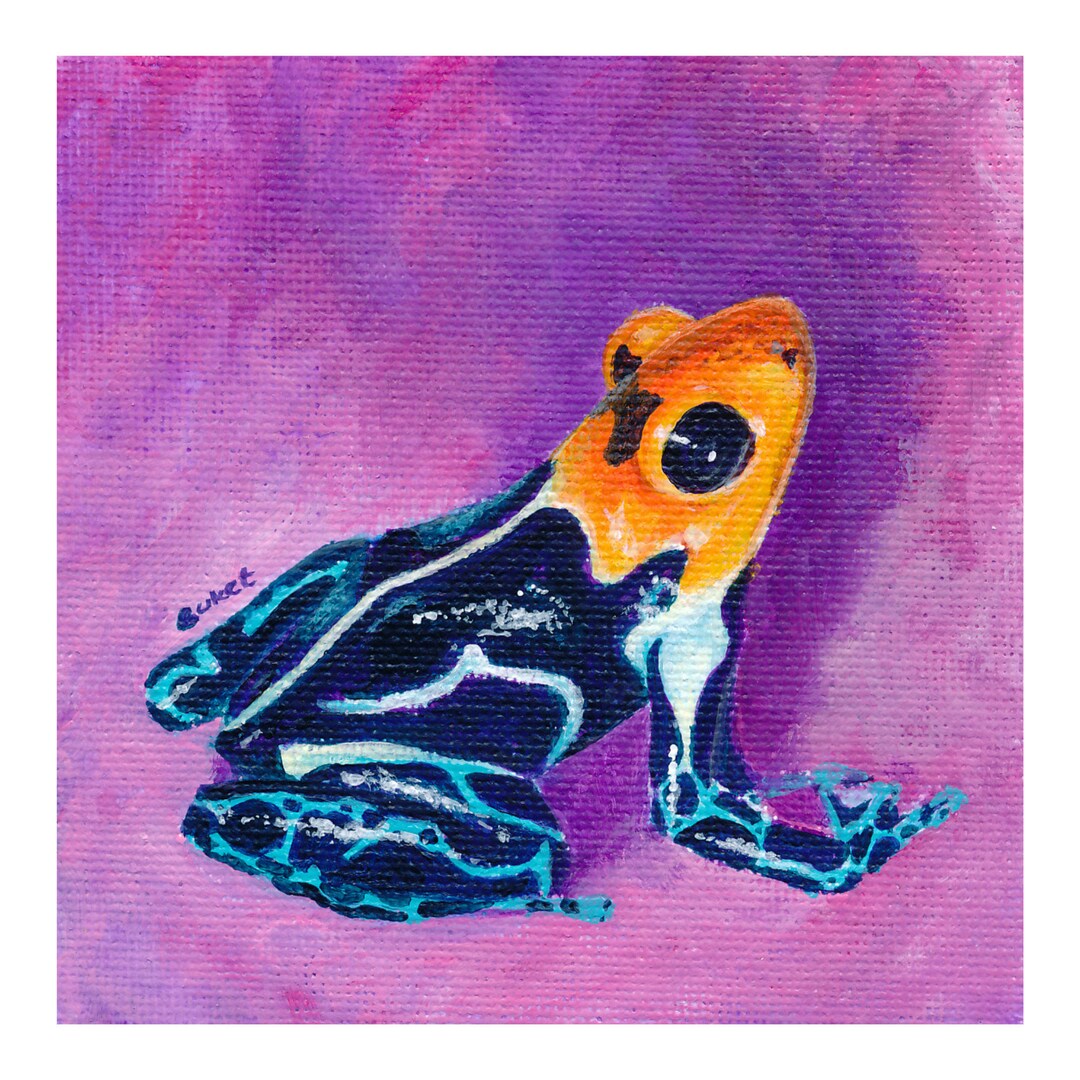 Miss Mia-poison Dart Frog- 4"x4" GICLEE Print-arrow Frog Art Print-4x4 ...