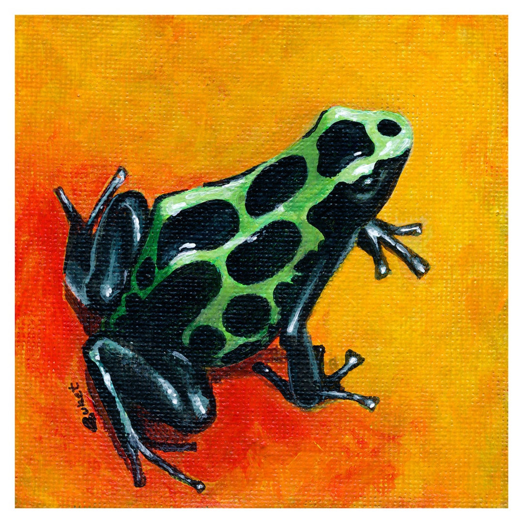 Mr Samuel - Poison Dart Frog- 4"x4" GICLEE Print-frog Art-square Fine ...