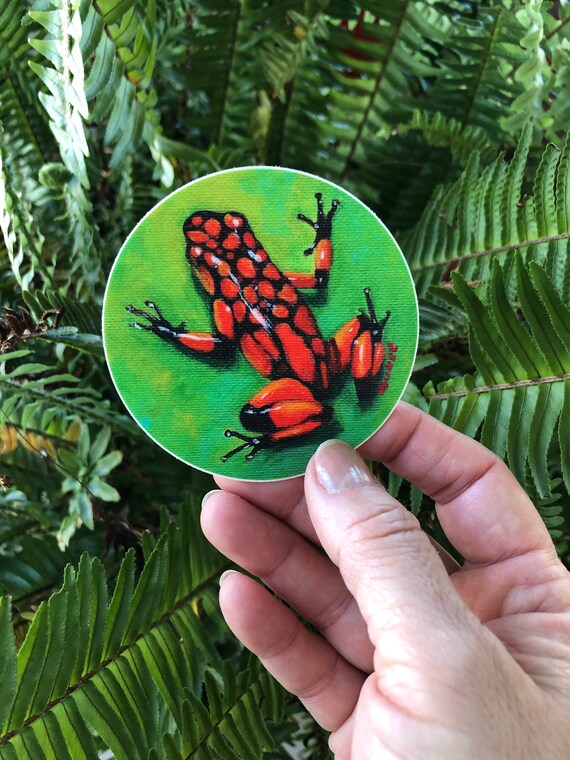 Red And Black Poison Dart Frog