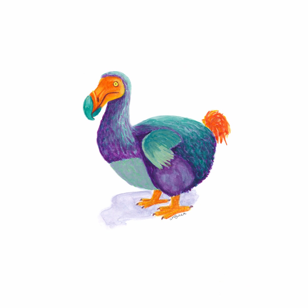 Colorful Dodo Art Print From Original Watercolor Art 4x4, 8x8, 10x10 ...