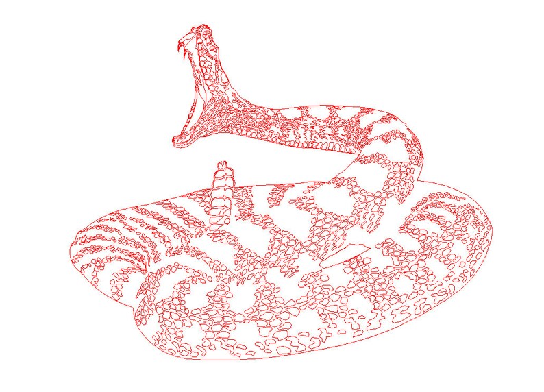 Rattlesnake Vector File - Etsy