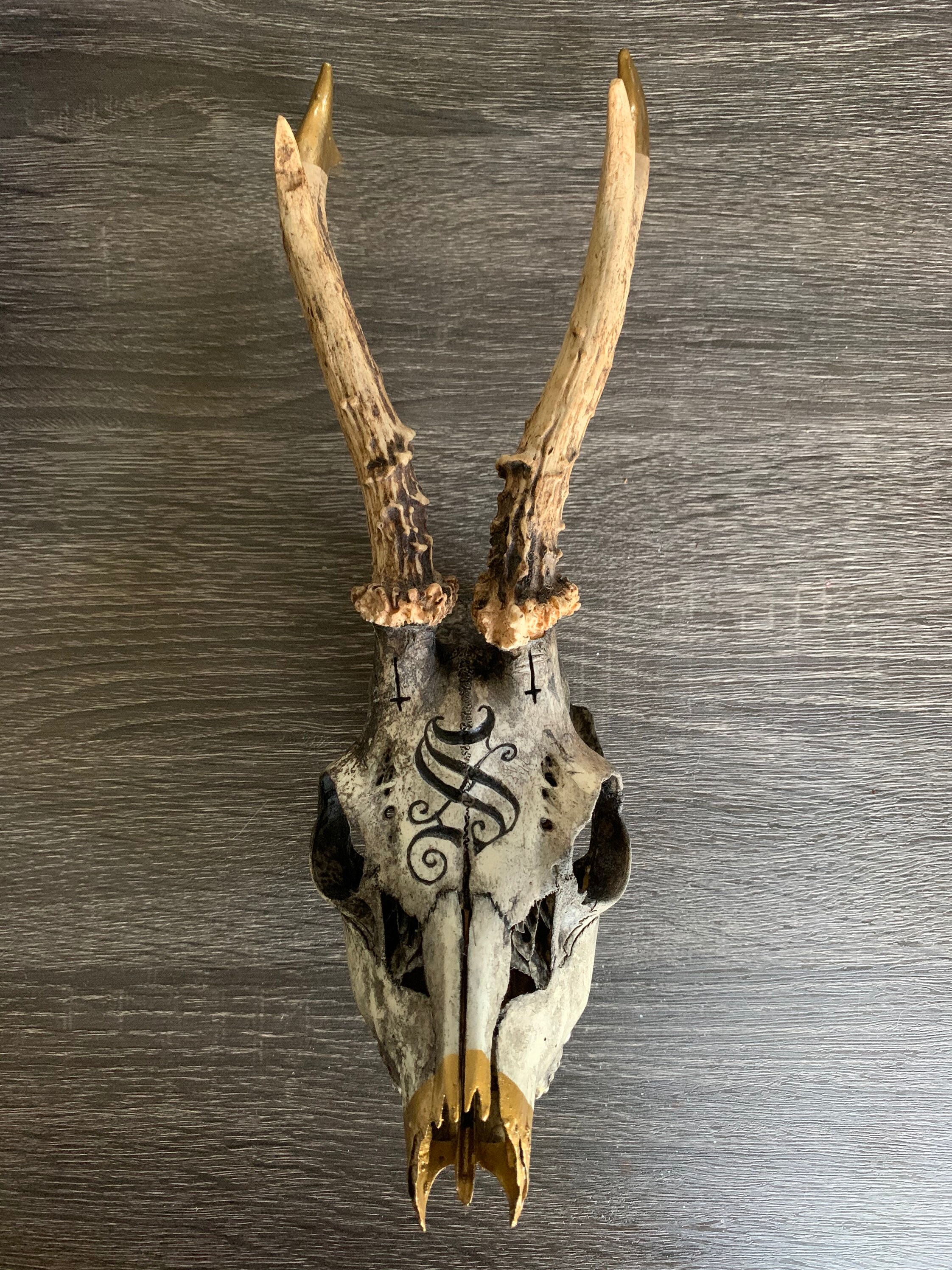 Custom Deer Skull Custom Deer Skull