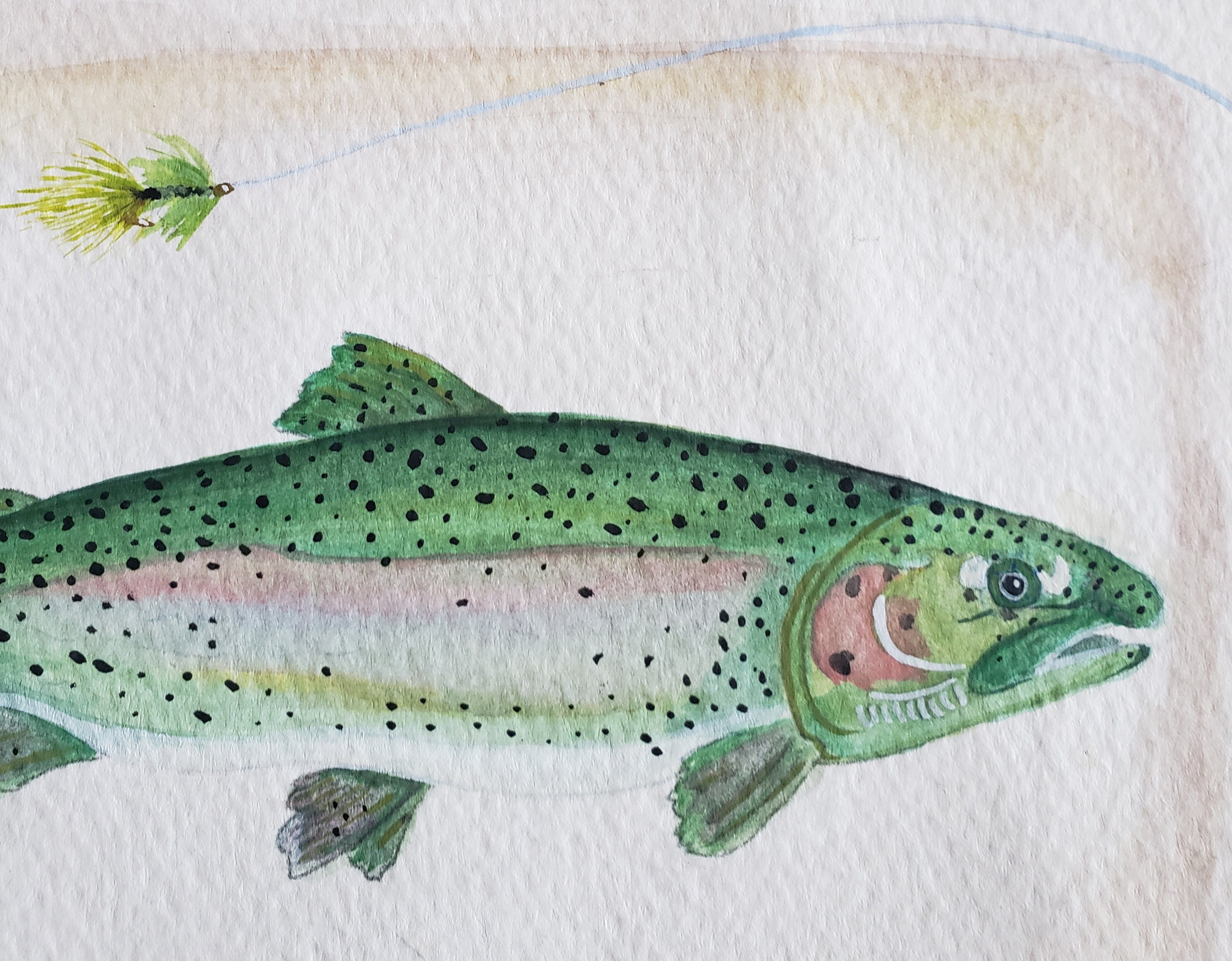 Trout Print. Rainbow Trout Print. Outdoor Print. Acrylic Painting Print ...