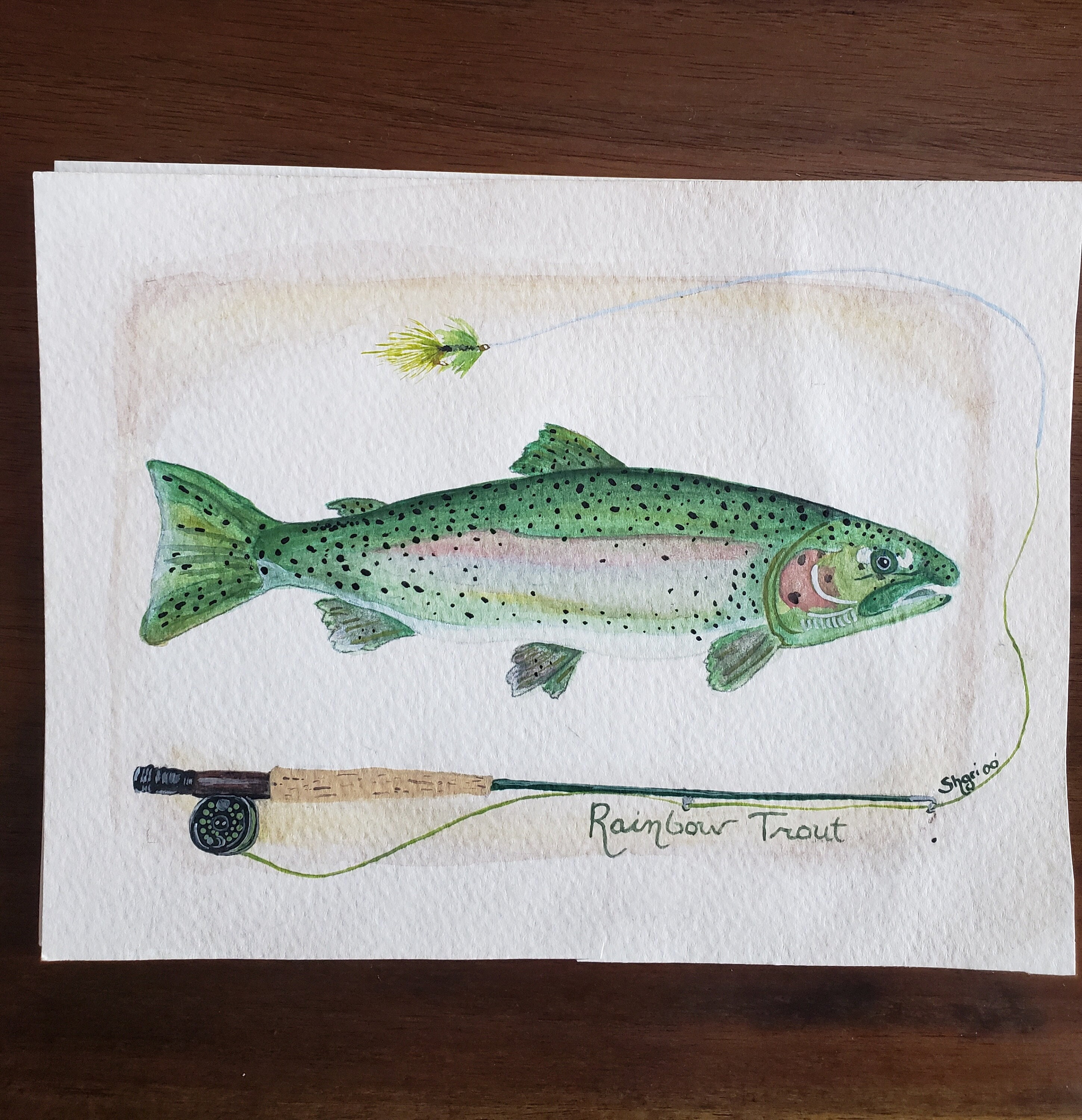 Trout Print. Rainbow Trout Print. Outdoor Print. Acrylic Painting Print ...