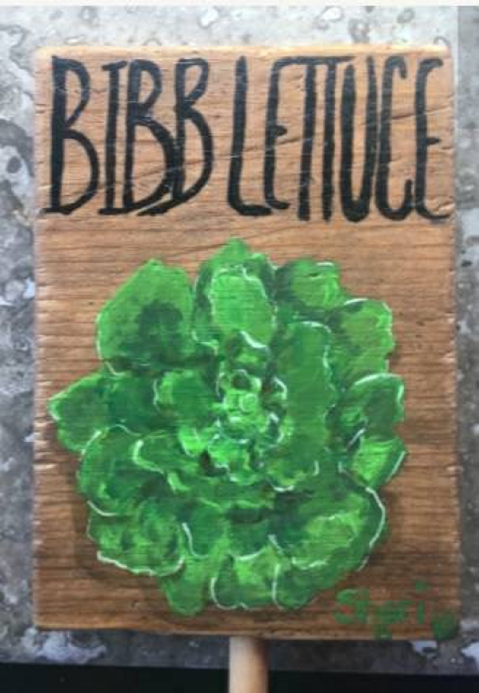 SALE, Set of 12 Garden Stakes, Garden Markers, Garden Signs, Garden ...