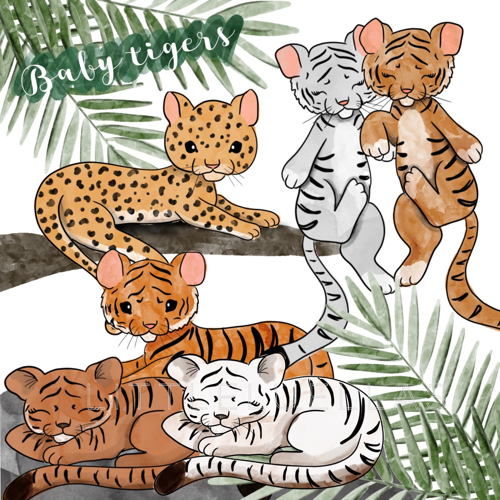 Tiger Clipart Leopard Clipart Big Cat Clipart Safari - Etsy