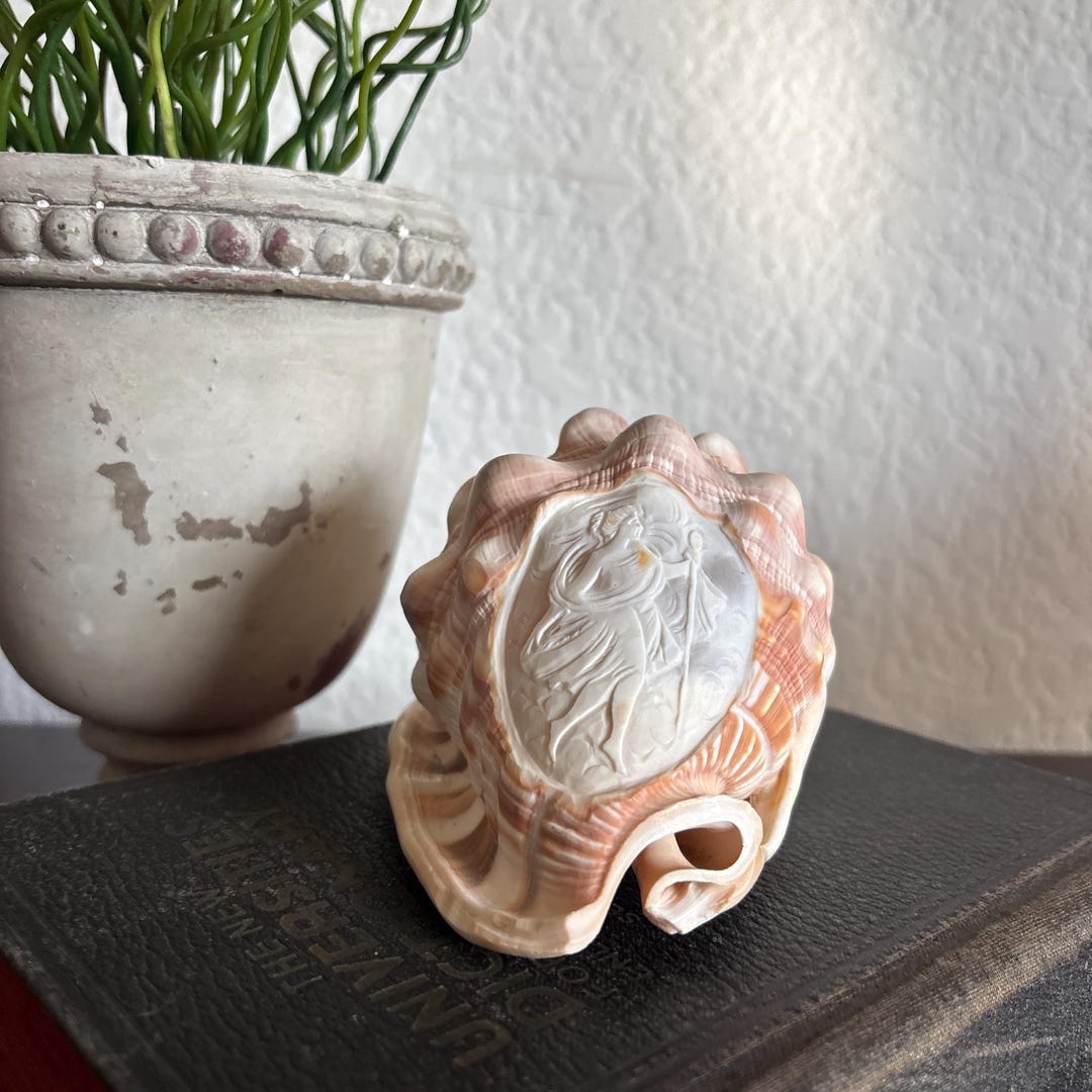 Vintage Carved Cameo Conch Shell With Hand Carved Goddess on a Sea ...
