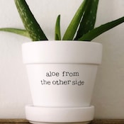 Aloe Gov'na Planter Pot - Etsy