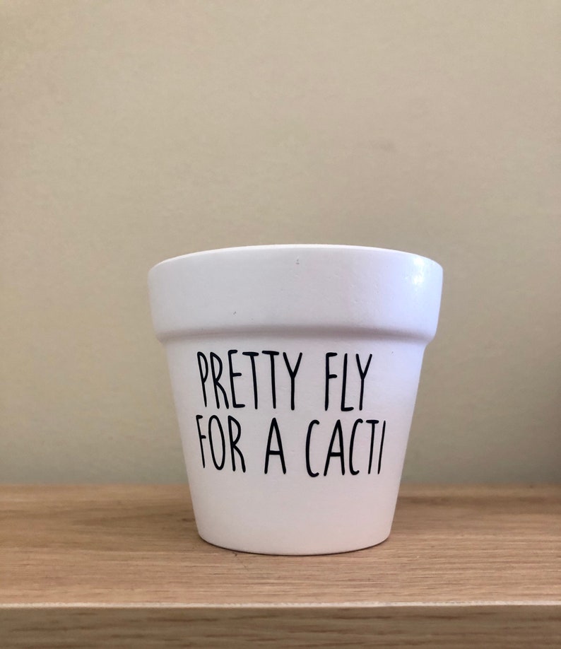 Pretty Fly for a Cacti Cute Succulent Pot Funny Cactus Pot | Etsy