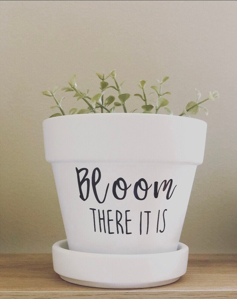 Bloom There It Is Cute Flower Pot Plant Pun Planter funny | Etsy