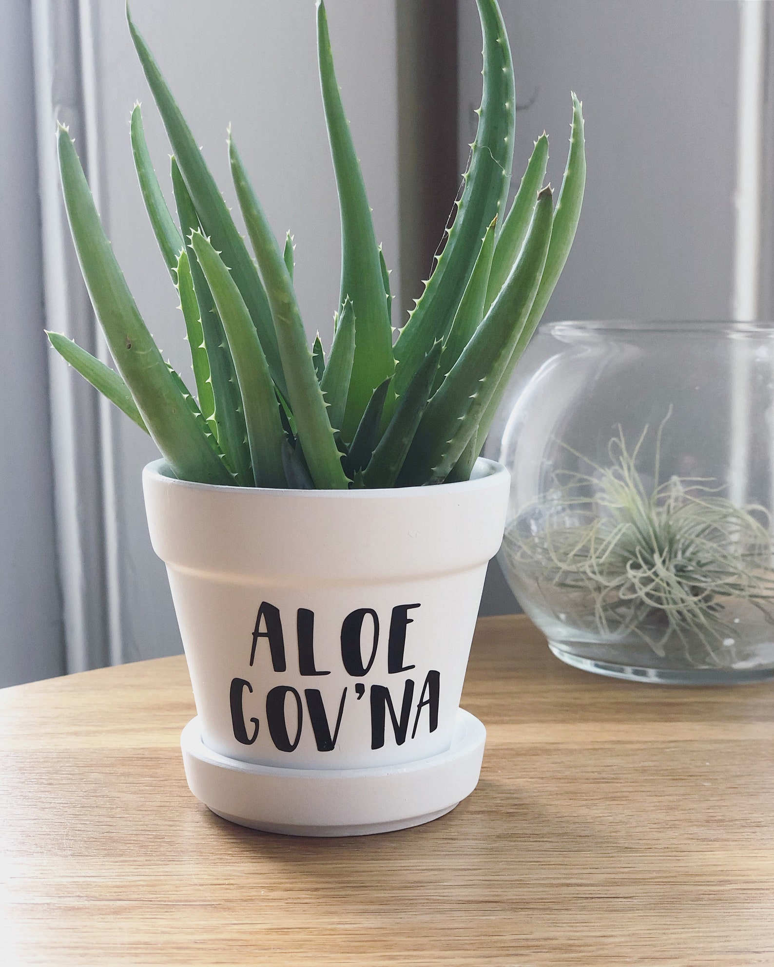 Aloe Govna Funny Plant Pot Plant Pun Plant Holder Funny - Etsy