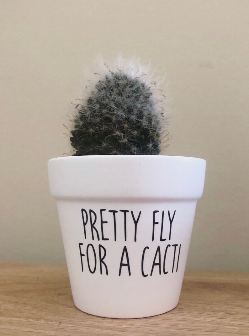 Pretty Fly for a Cacti Cute Succulent Pot Funny Cactus Pot | Etsy