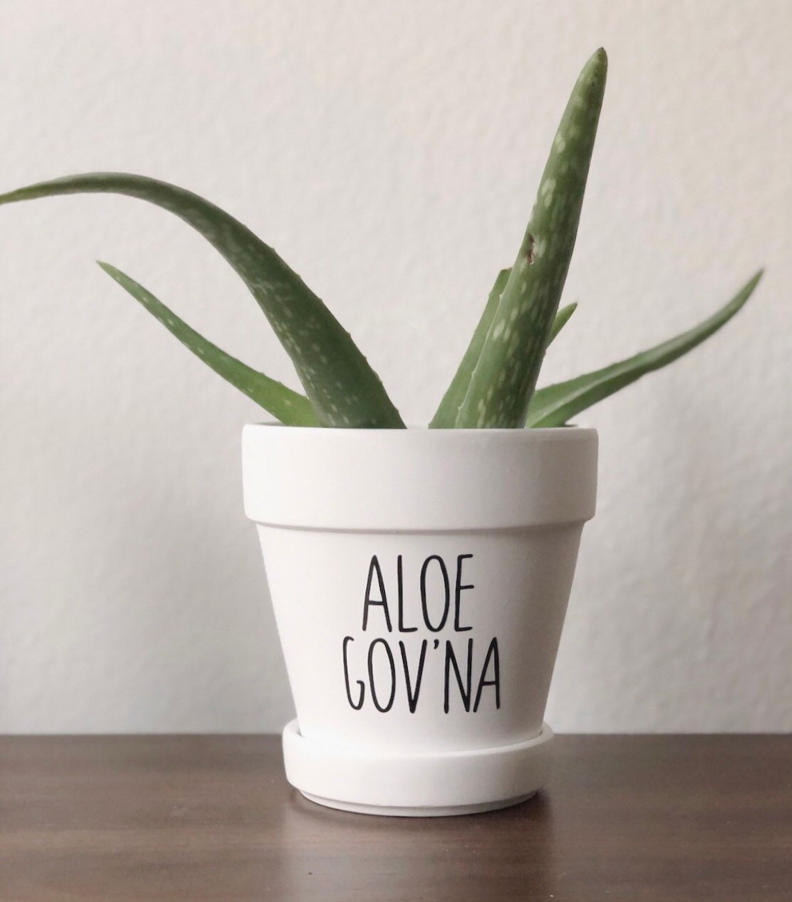 Aloe Govna Funny Plant Pot Plant Pun Plant Holder Funny - Etsy