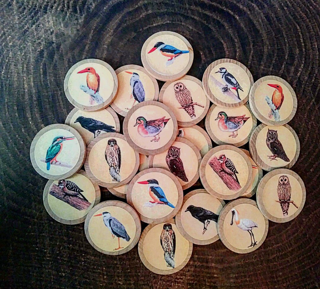 Bird Matching Game Wooden Children's Game Memory Game - Etsy