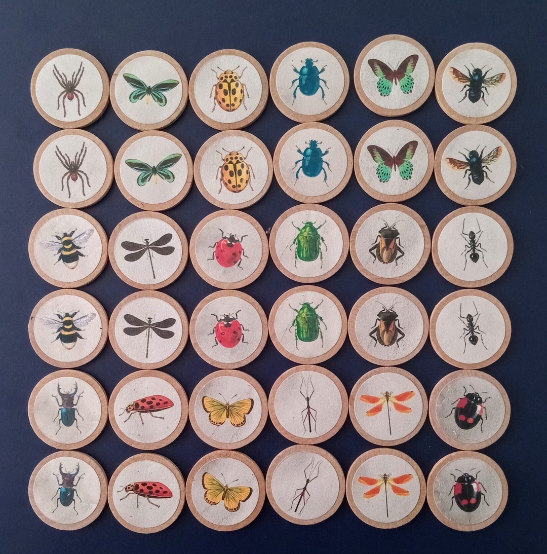 Insect Memory Game, Matching Game, Montessori, Wooden Toy, Animal ...