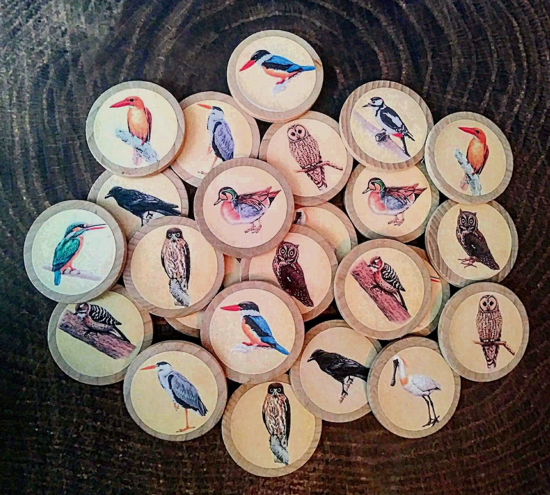 Bird Matching Game, Wooden Children's Game, Memory Game, Reggio ...