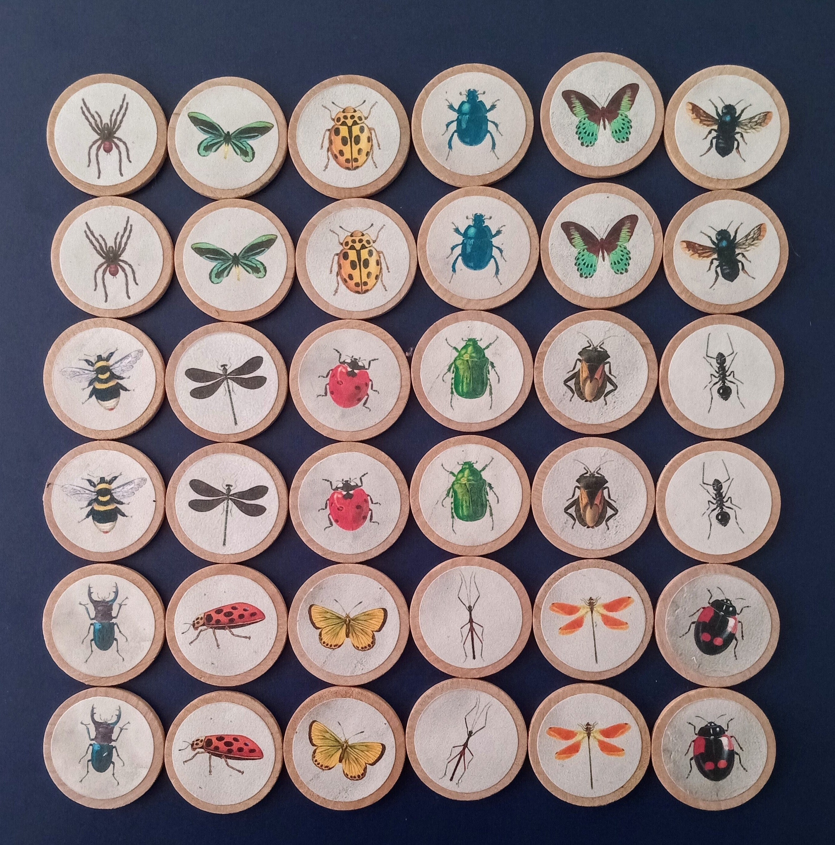 Insect Memory Game, Matching Game, Montessori, Wooden Toy, Animal ...