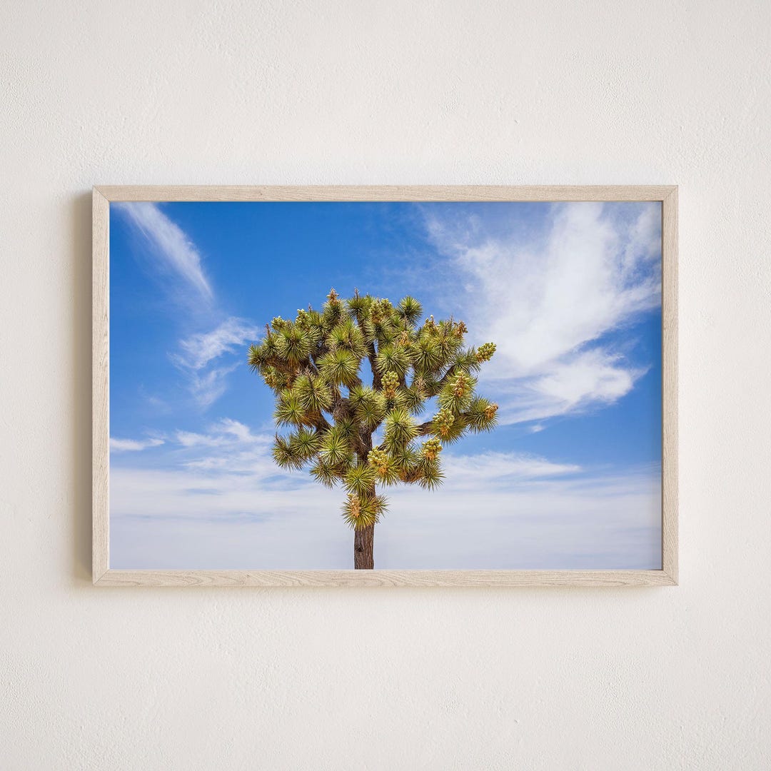 Joshua Tree Wall Art, Joshua Tree Prints, Gallery-quality Southwestern ...