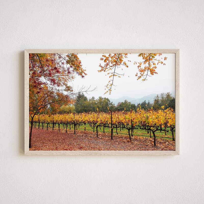 Vineyard Art - Etsy