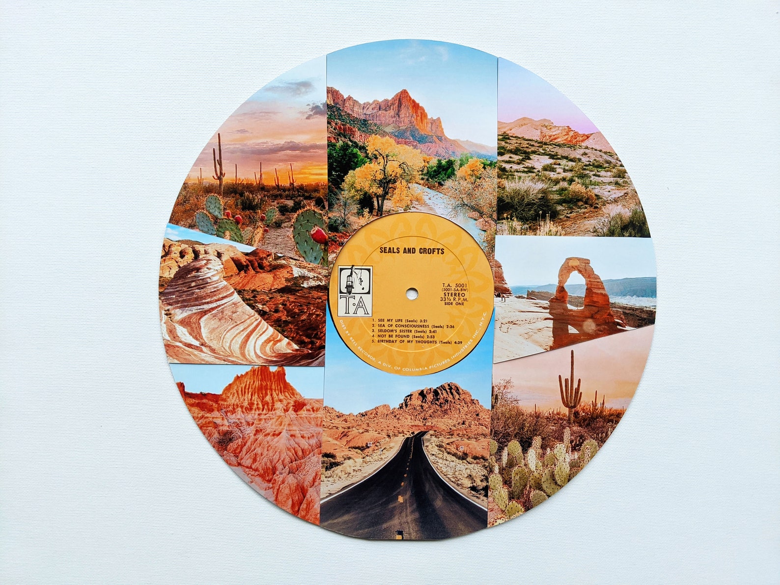 CUSTOM ORDER Vinyl Record Photo Collage Vintage Record Vinyl Record ...