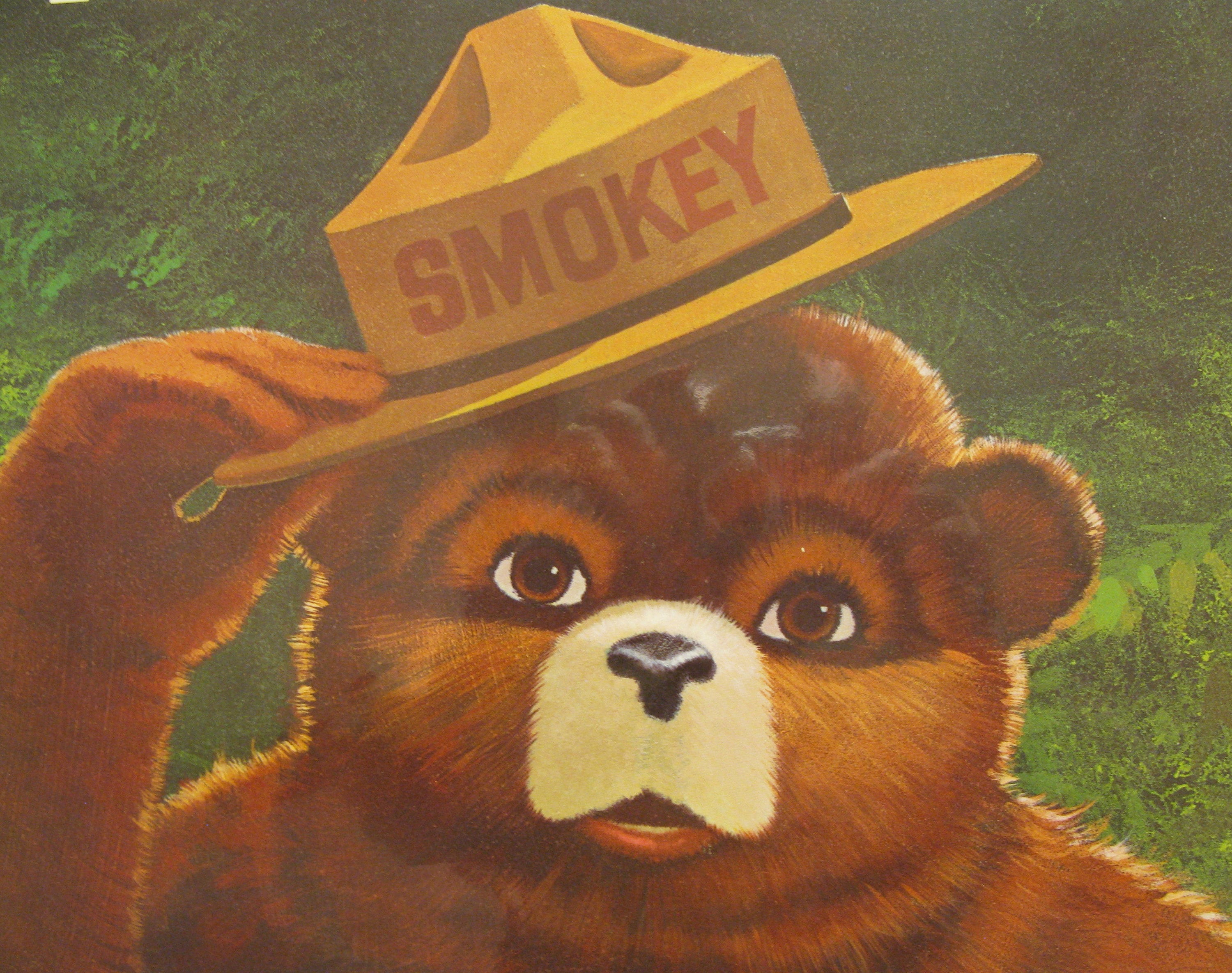 Smokey Bear Poster Nature Print Bear Print Vintage Poster Americana