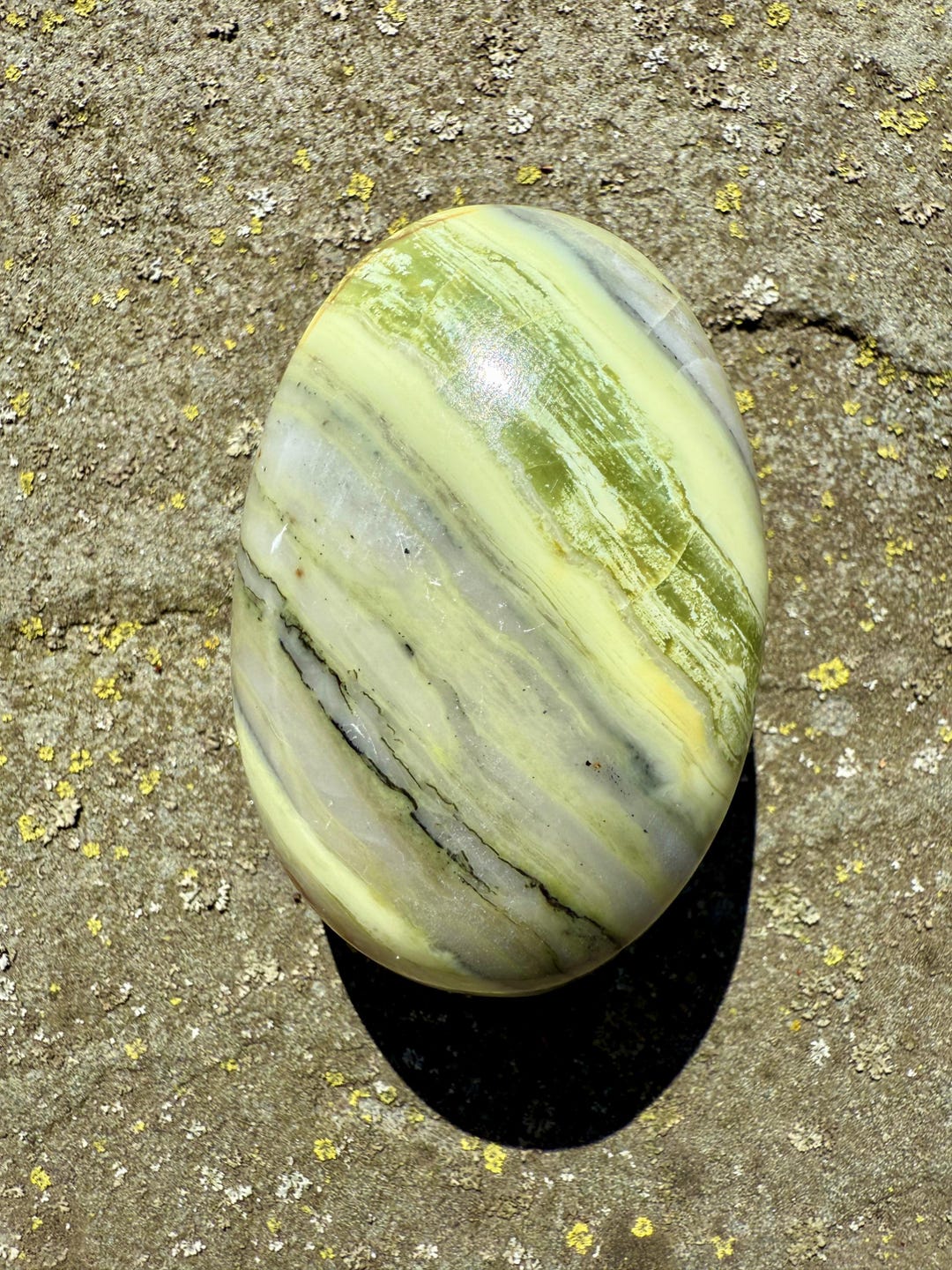 Infinite Palm - Serpentine, Palmstone, Palm, South Africa - Etsy
