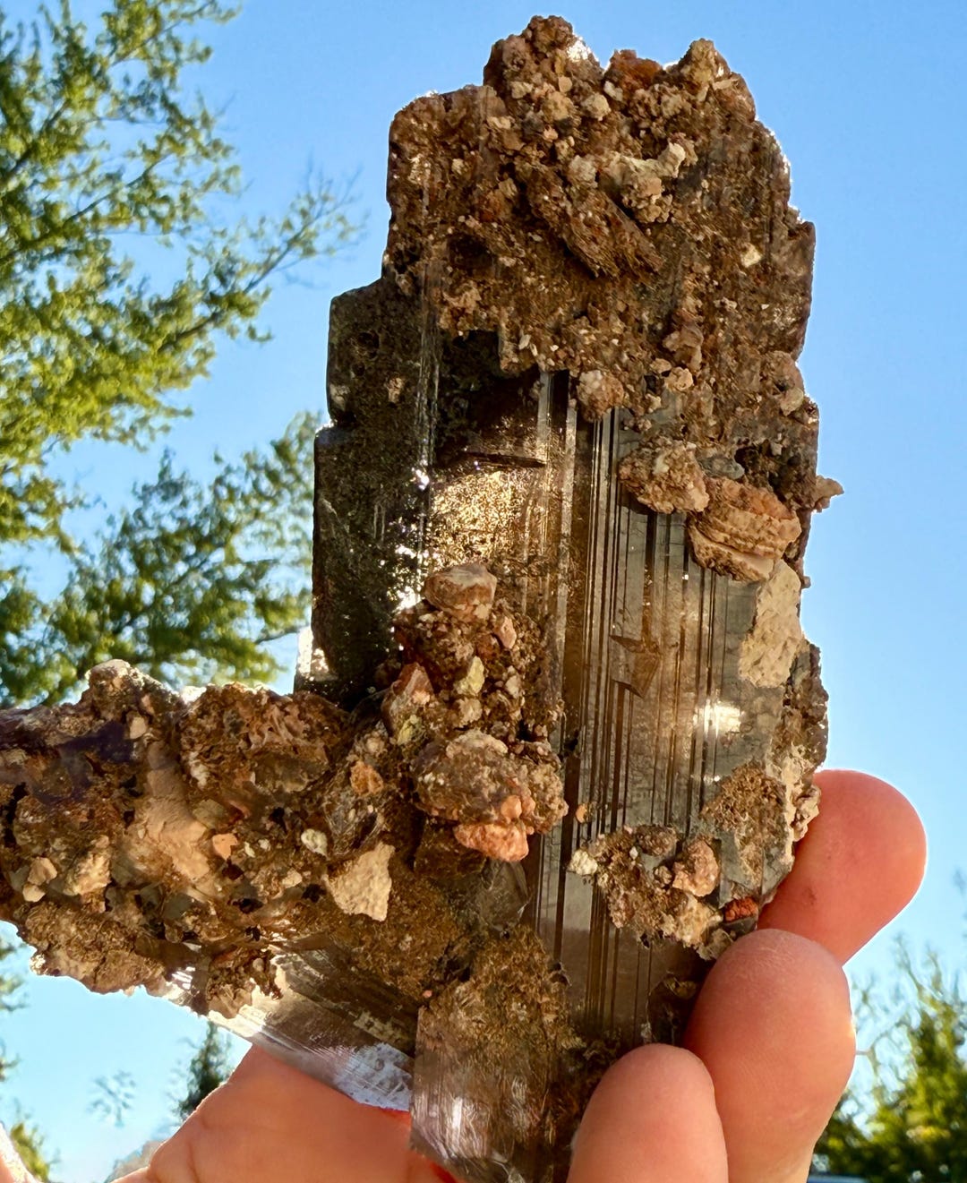 Phantom Selenite - Goethite, La Platosa, 2025 Find, Mexico - Etsy
