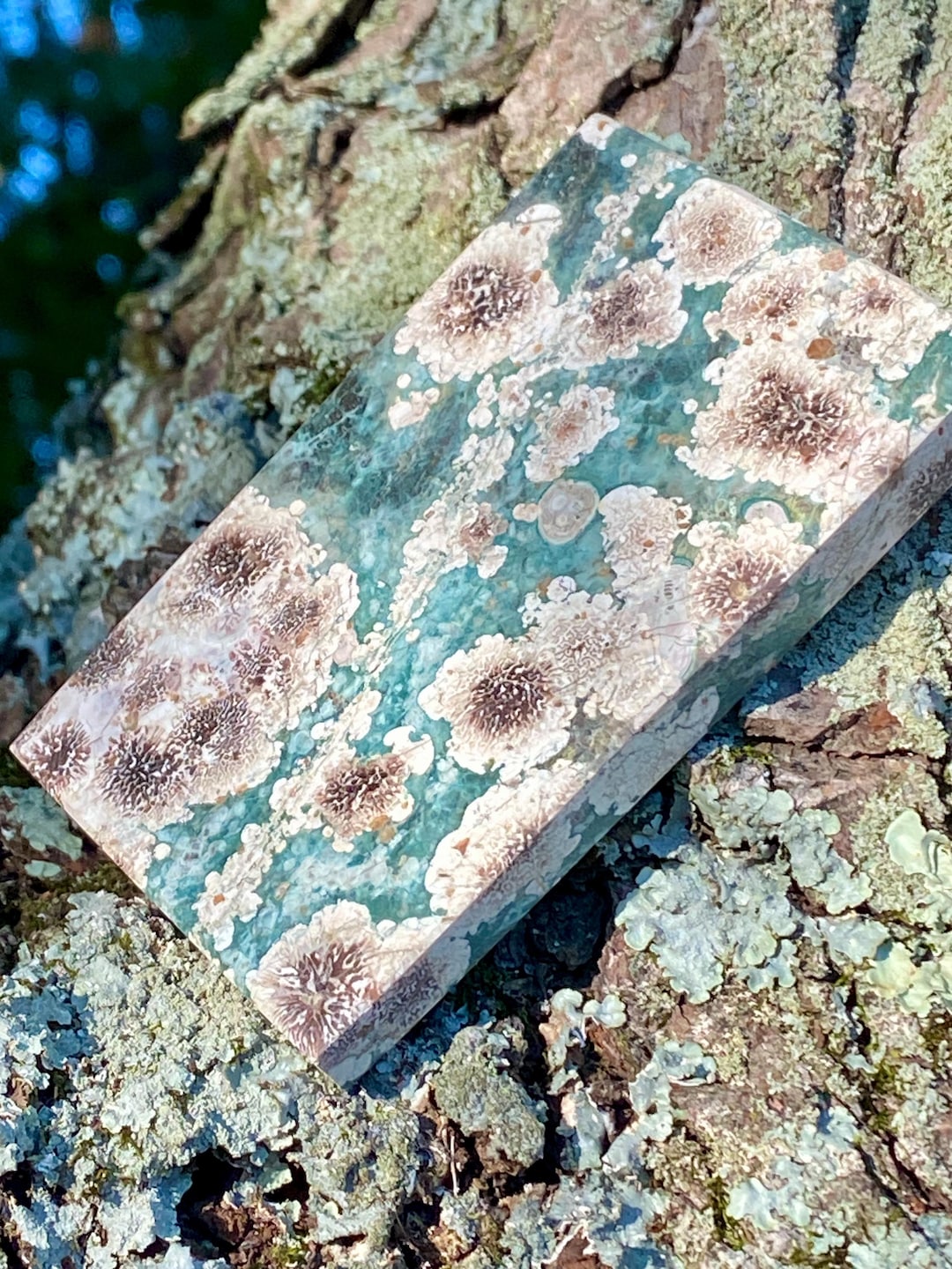 Green & Pink Flower Jasper - Slab Aka Green Sakura Jasper, Rhyolite ...