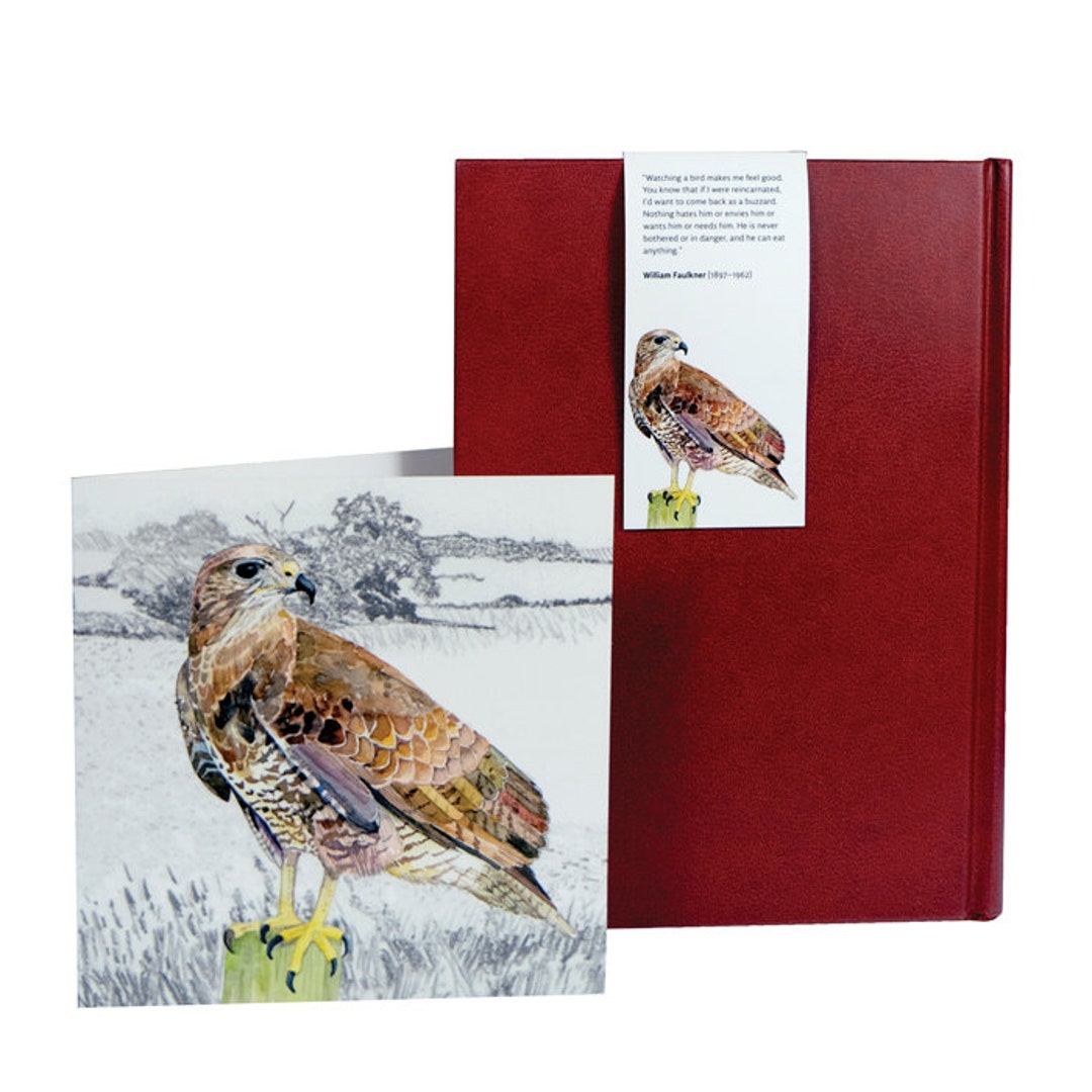 Buzzard Wildlife Bookmark and Greetings Card Pack Buzzard Card Buzzard ...