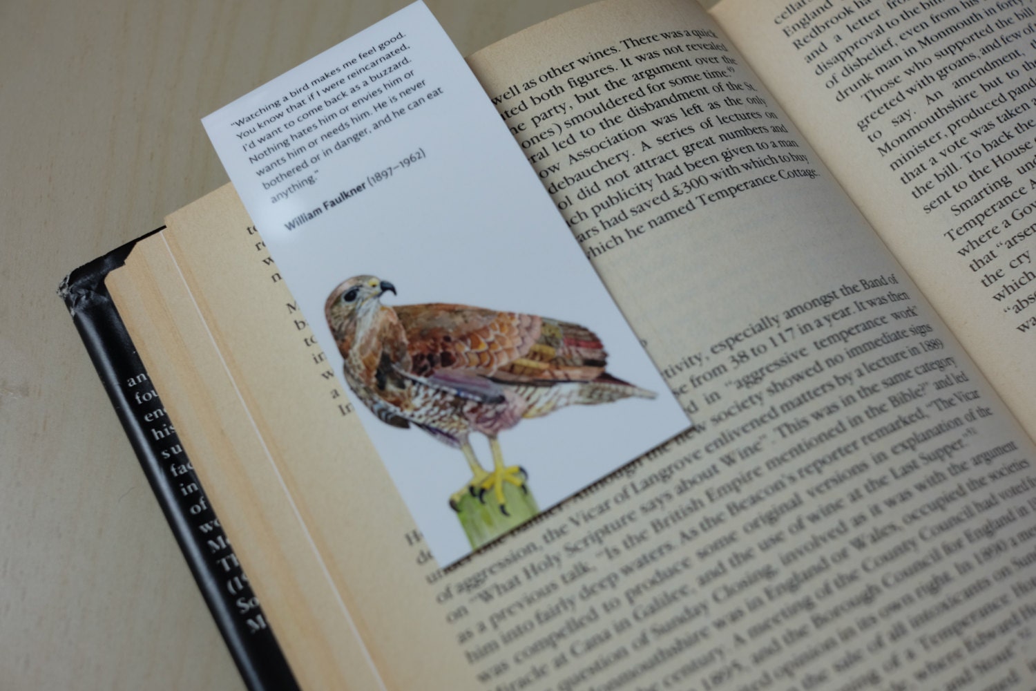 Buzzard Wildlife Bookmark and Greetings Card Pack Buzzard Card Buzzard ...