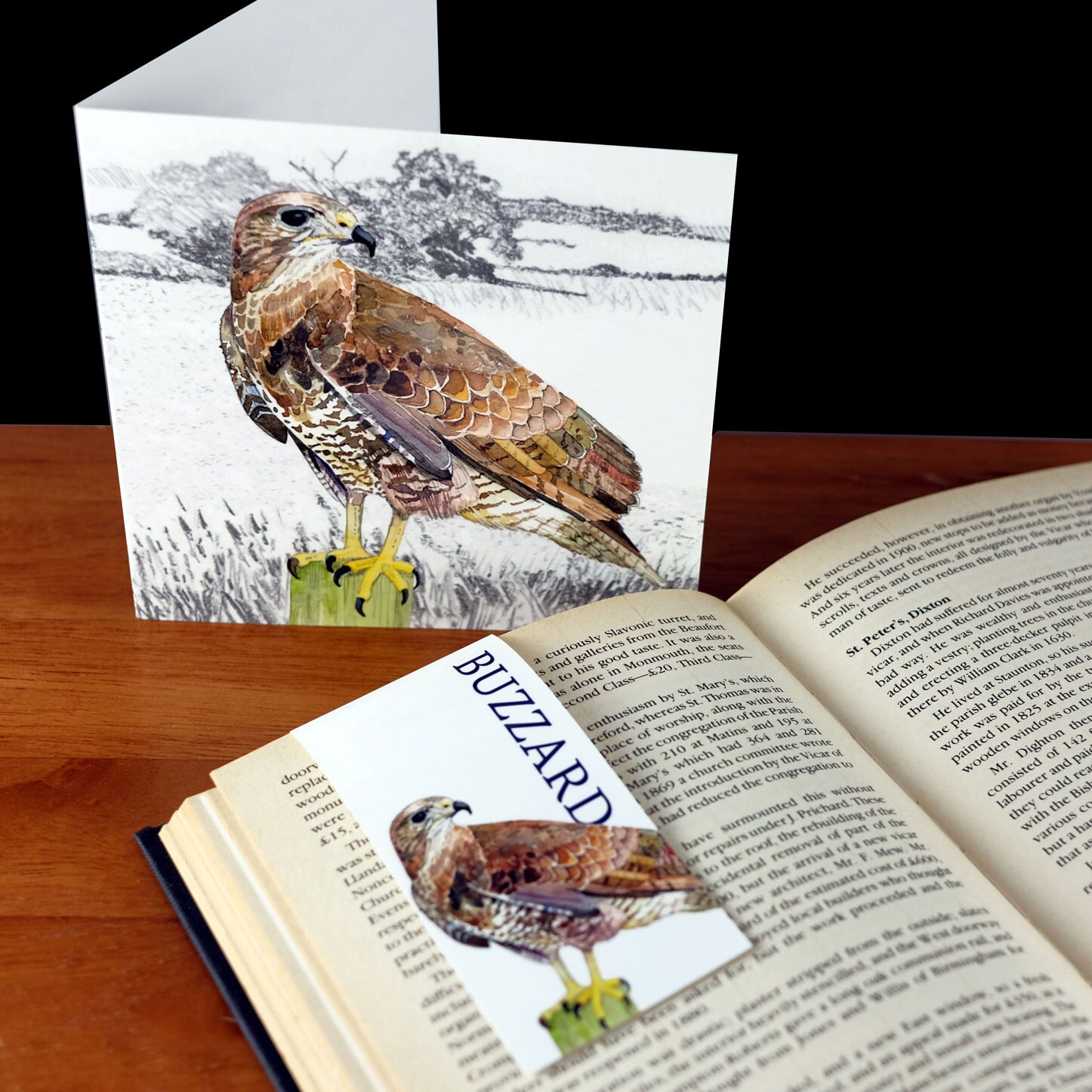Buzzard Wildlife Bookmark and Greetings Card Pack Buzzard Card Buzzard ...