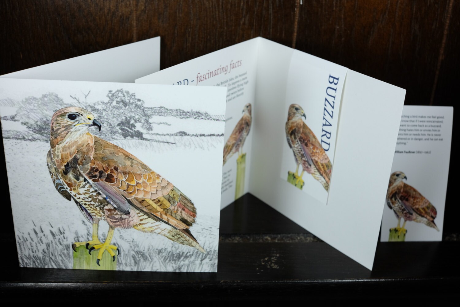 Buzzard Wildlife Bookmark and Greetings Card Pack Buzzard Card Buzzard ...