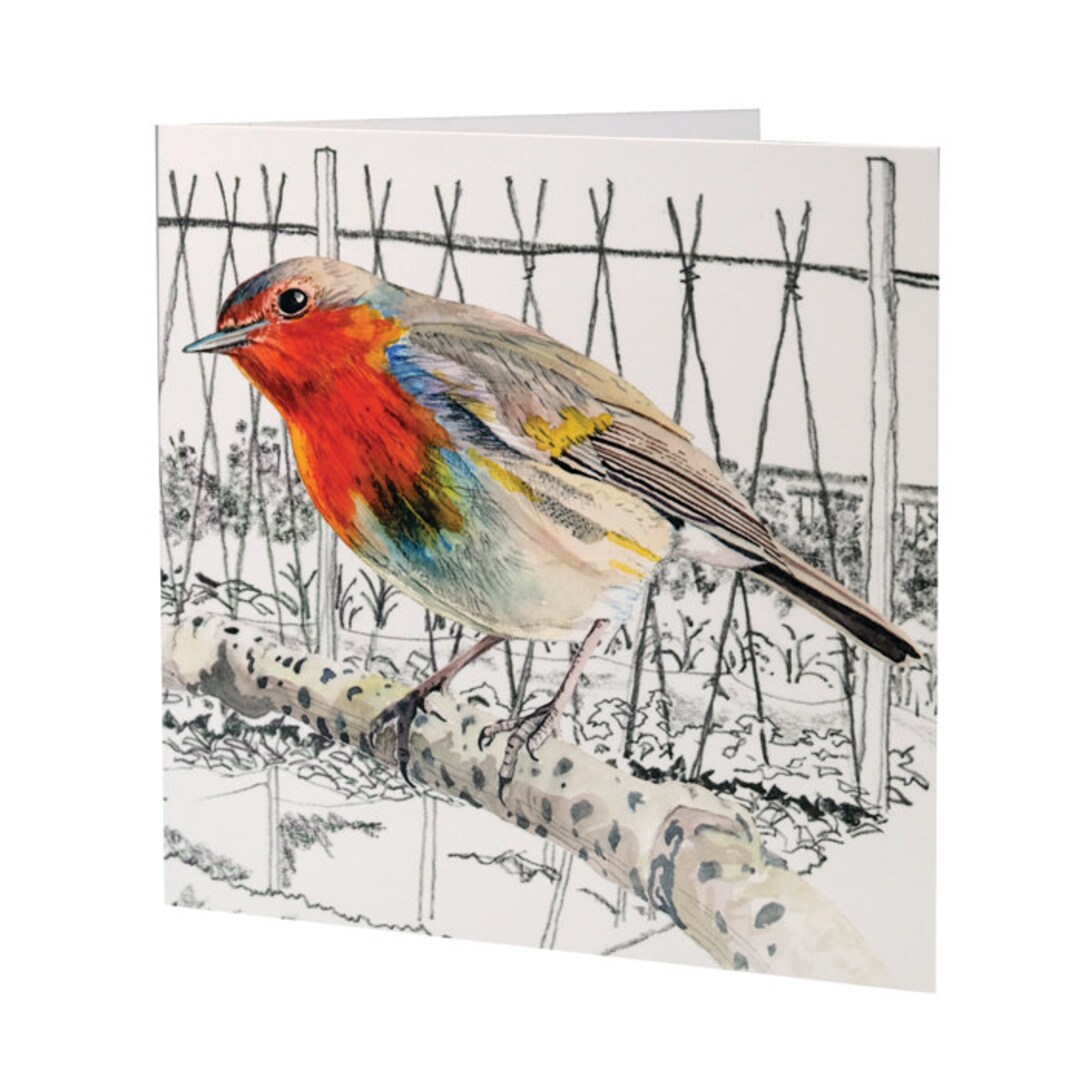Watercolour Robin Card | Card Suitable for Any Occasion | Robin Card ...