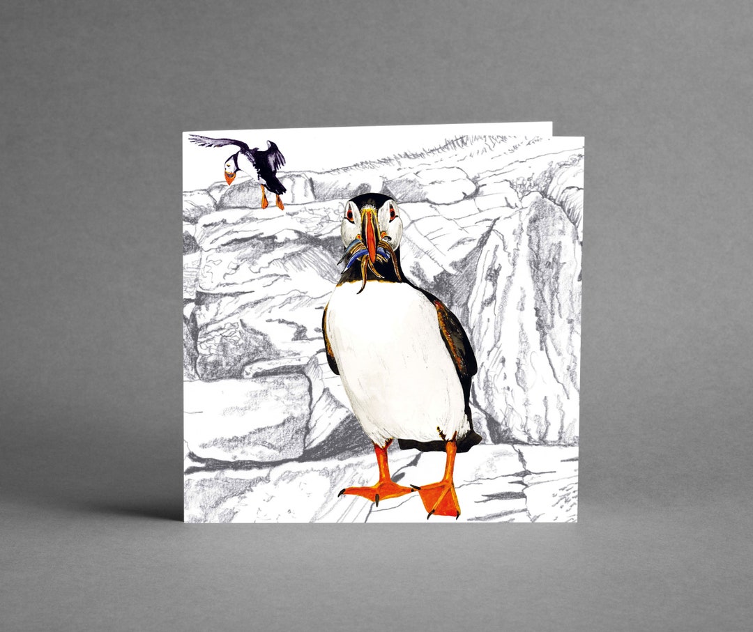 Puffin Birthday Card | Greetings Cards | Puffin Anniversary Card ...
