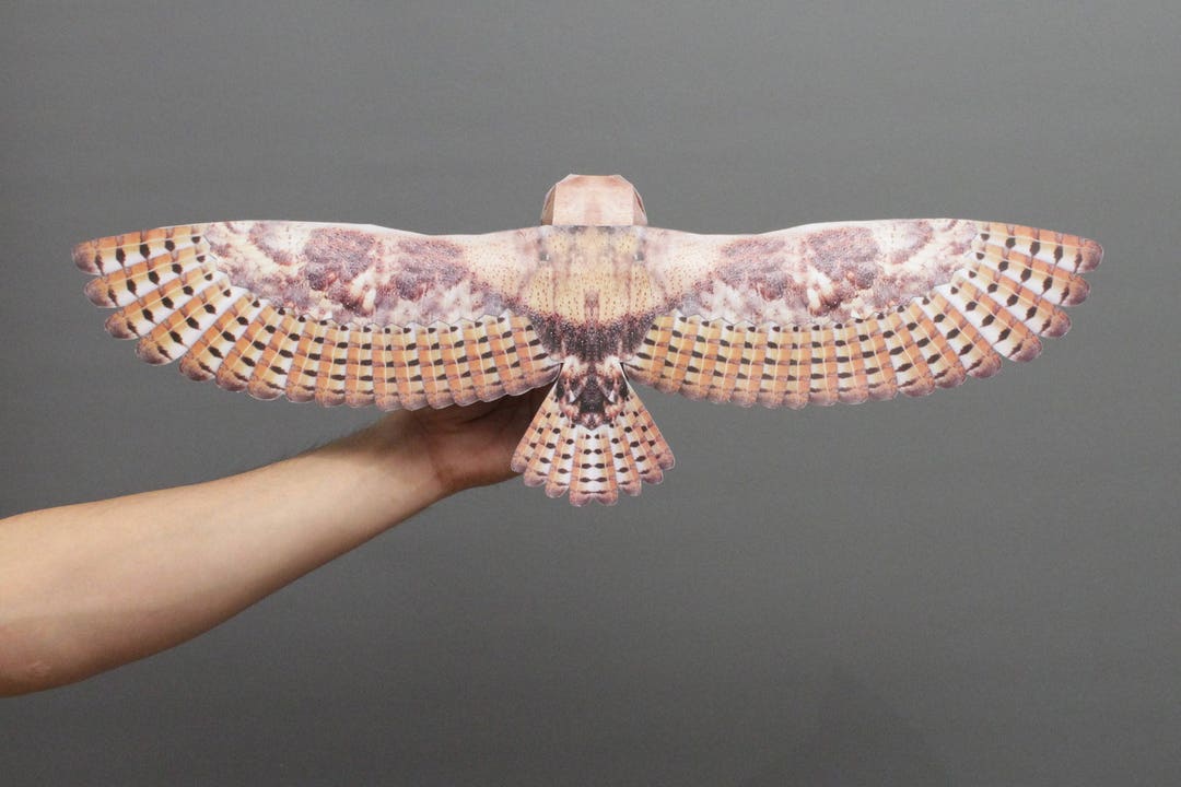 Barn Owl Printable Building Kit - Etsy