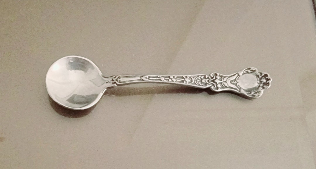 Nuremberg by Alvin Sterling Silver Master Salt Spoon - Etsy