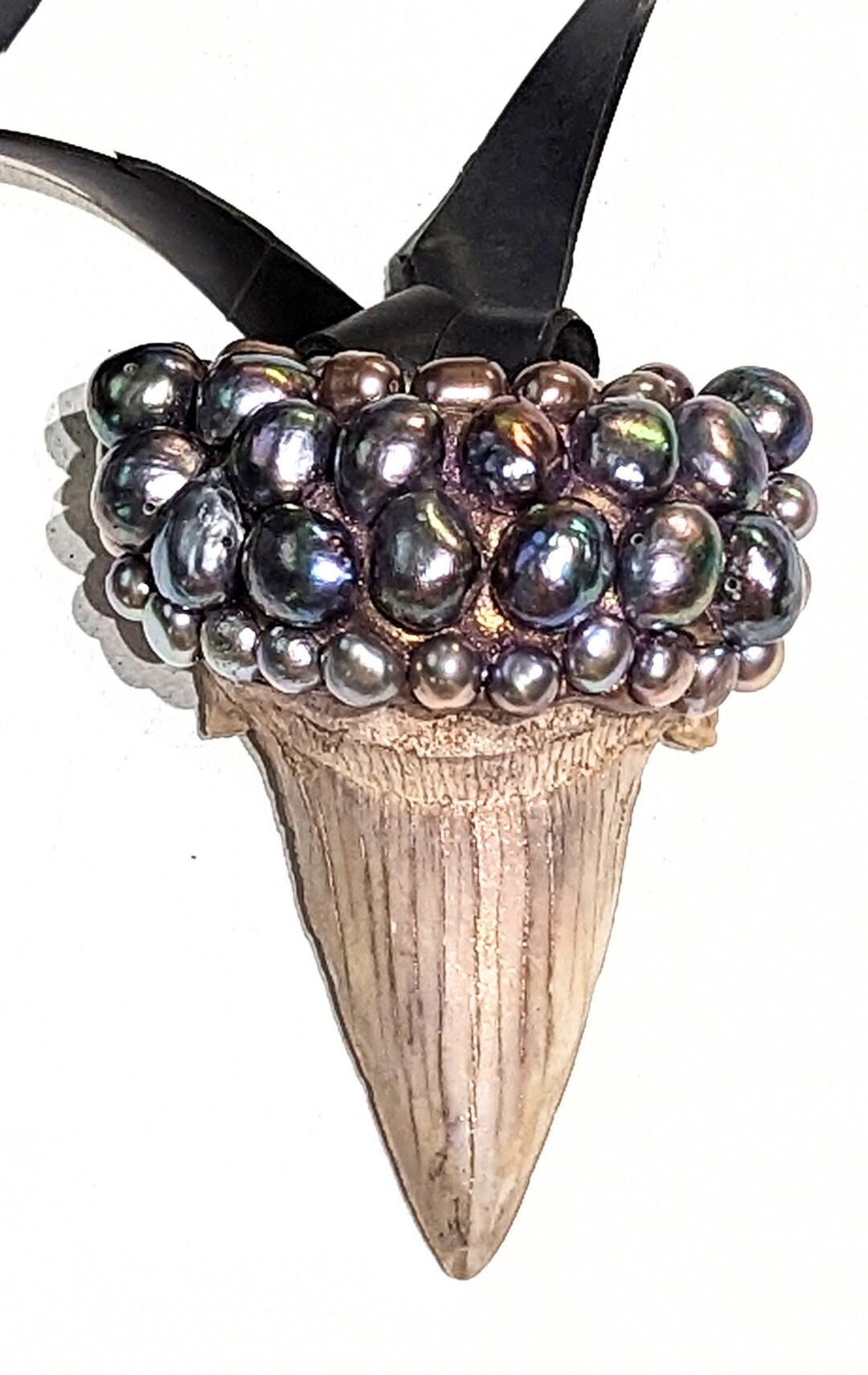 Silver Grey Purple Pearls on a Real Shark Angustiden Tooth Fossil ...