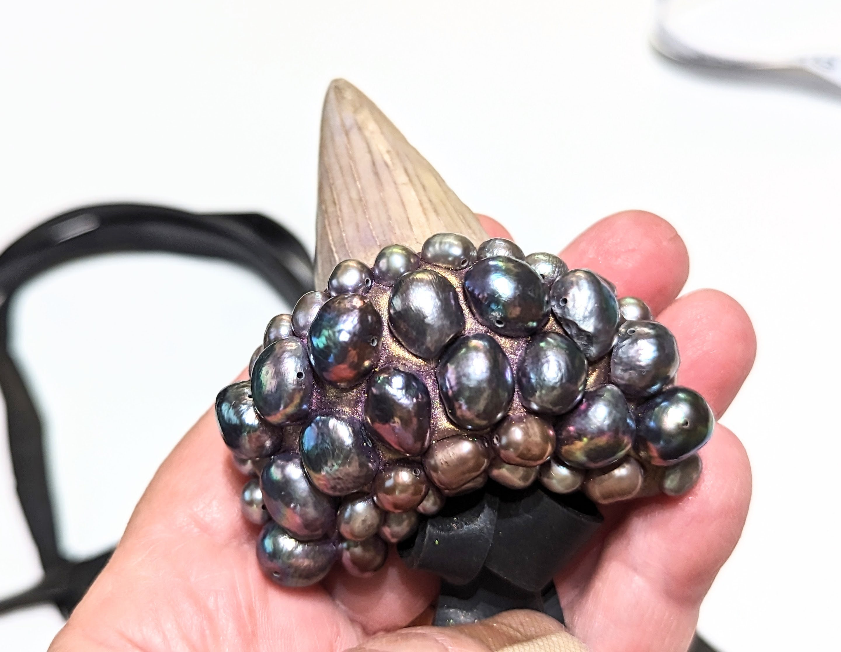 Silver Grey Purple Pearls on a Real Shark Angustiden Tooth Fossil ...