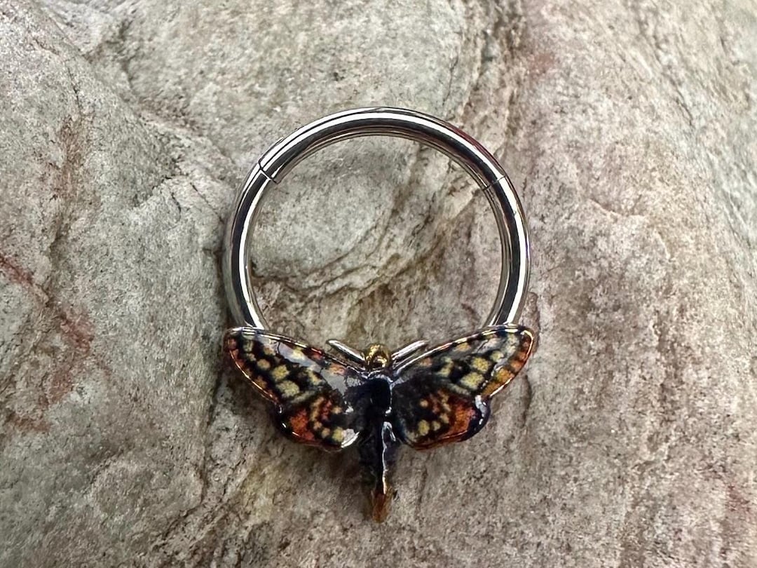 Brown Moth | Surgical Steel Hinged Clicker Ring | Septum Hoop Daith ...