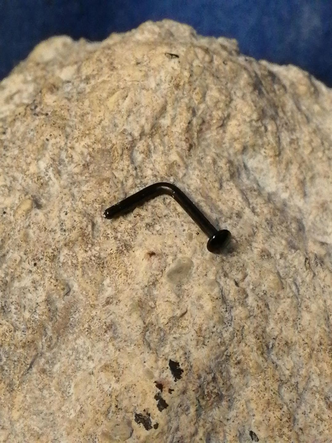 Dome End | Black Plated Surgical Steel | Plain Discreet Stud | L-shape ...