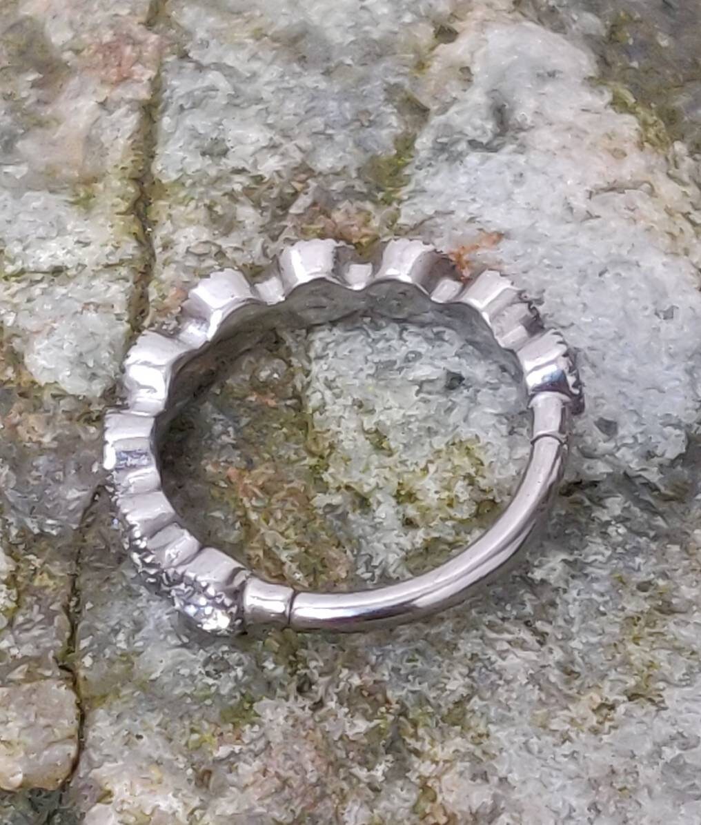 Scallop Set White Cz Crystal Conch Piercing Sleeper Hinged Ring ...