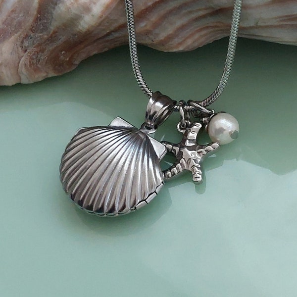 Beach Jewelry Shell - Etsy