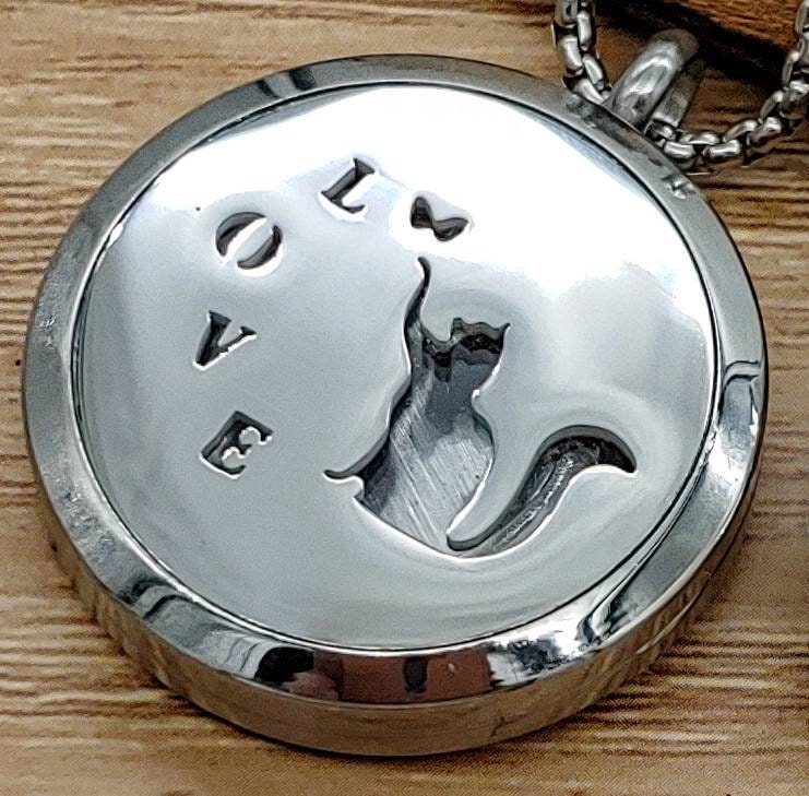 Pet Memorial Jewelry Cat Urn Dog Urn Locket | Pet Ashes Necklace | Pet ...